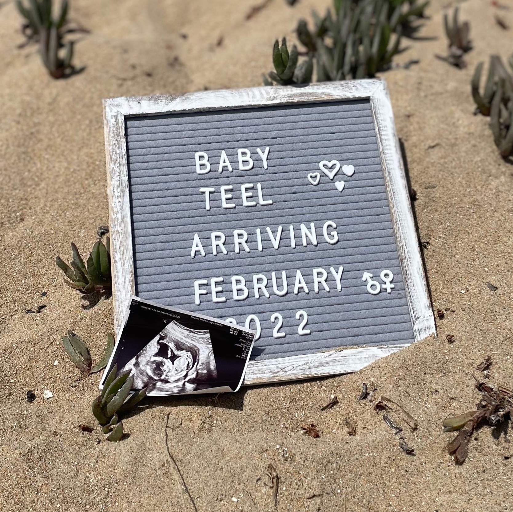 Melissa and Chris Teel Baby - Blueprint