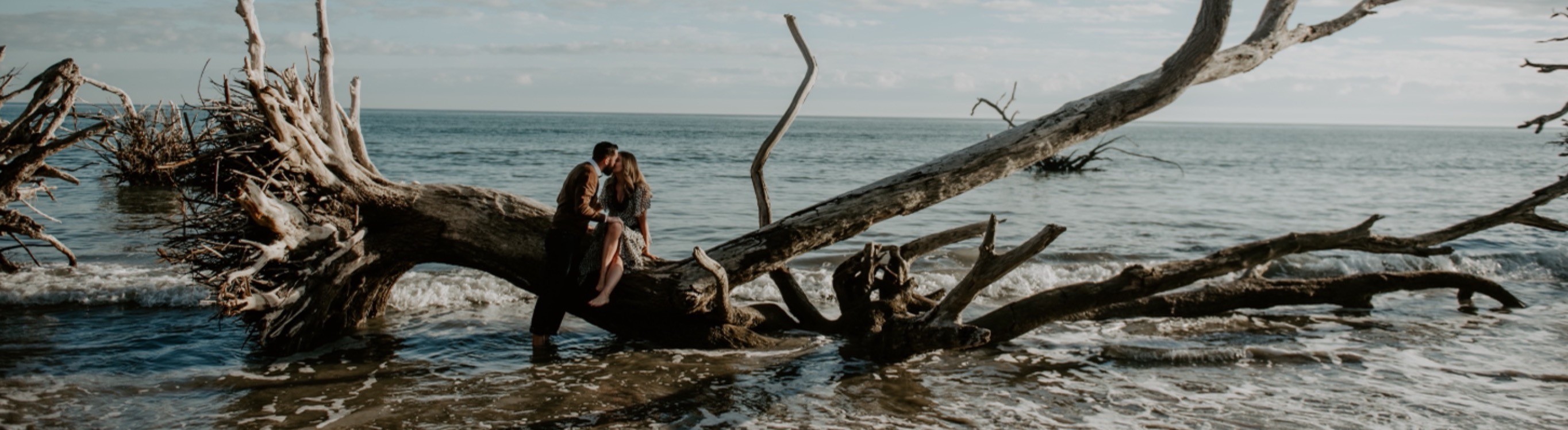 Alexandra Heaton & Jeffrey Stewart Wedding - Blueprint