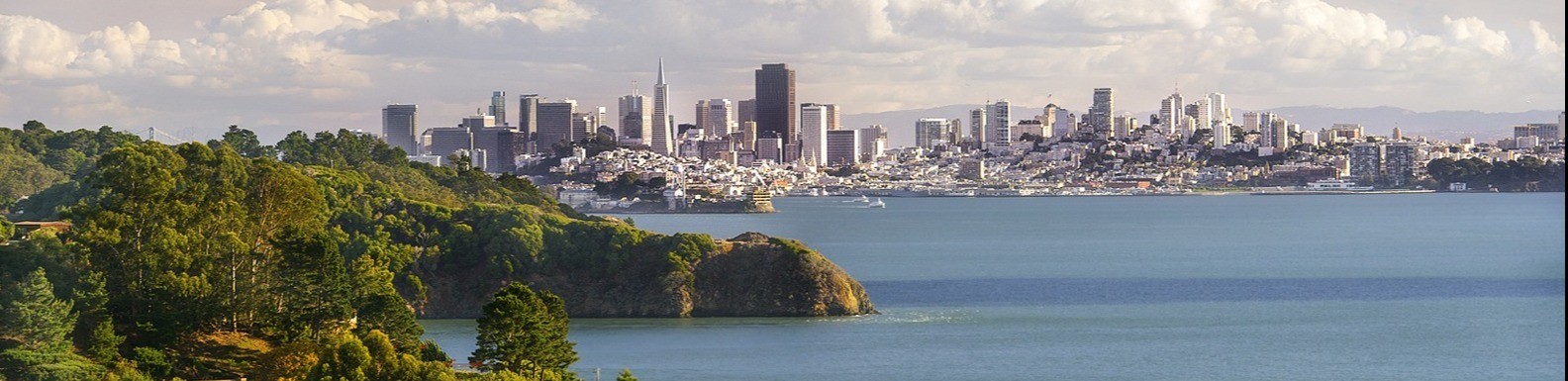 Martin Hampson Family - Blueprint